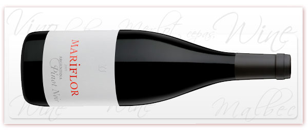 Guí­a de compras: doce vinos ideales para obsequiar y disfrutar en este ...